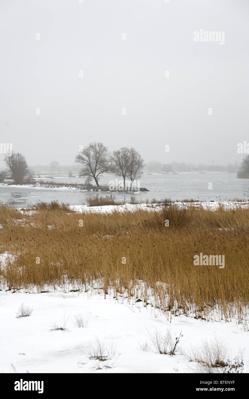 Winter landscape netherlands no snow hi-res stock photography and ...