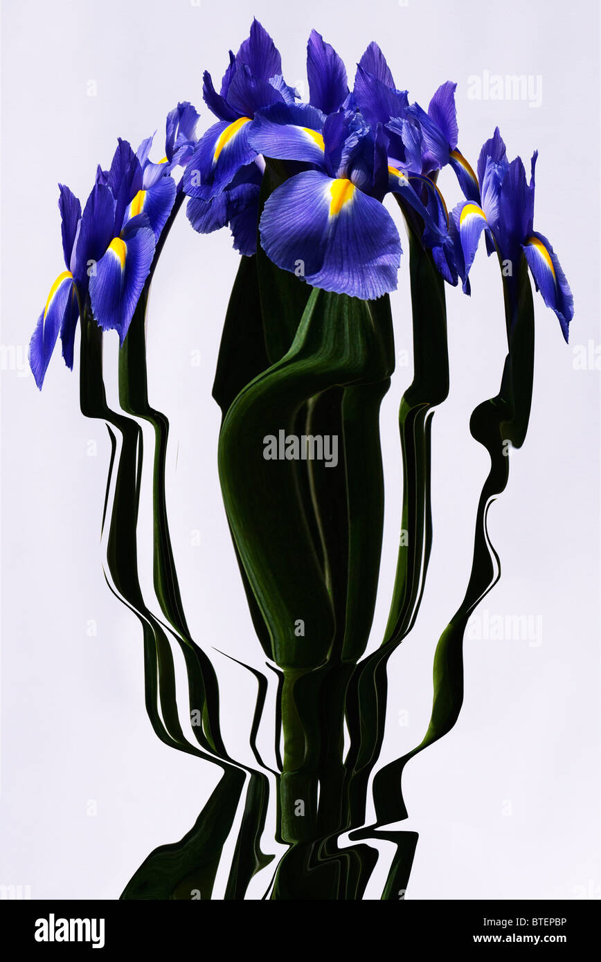 Wavy stem hi-res stock photography and images - Alamy