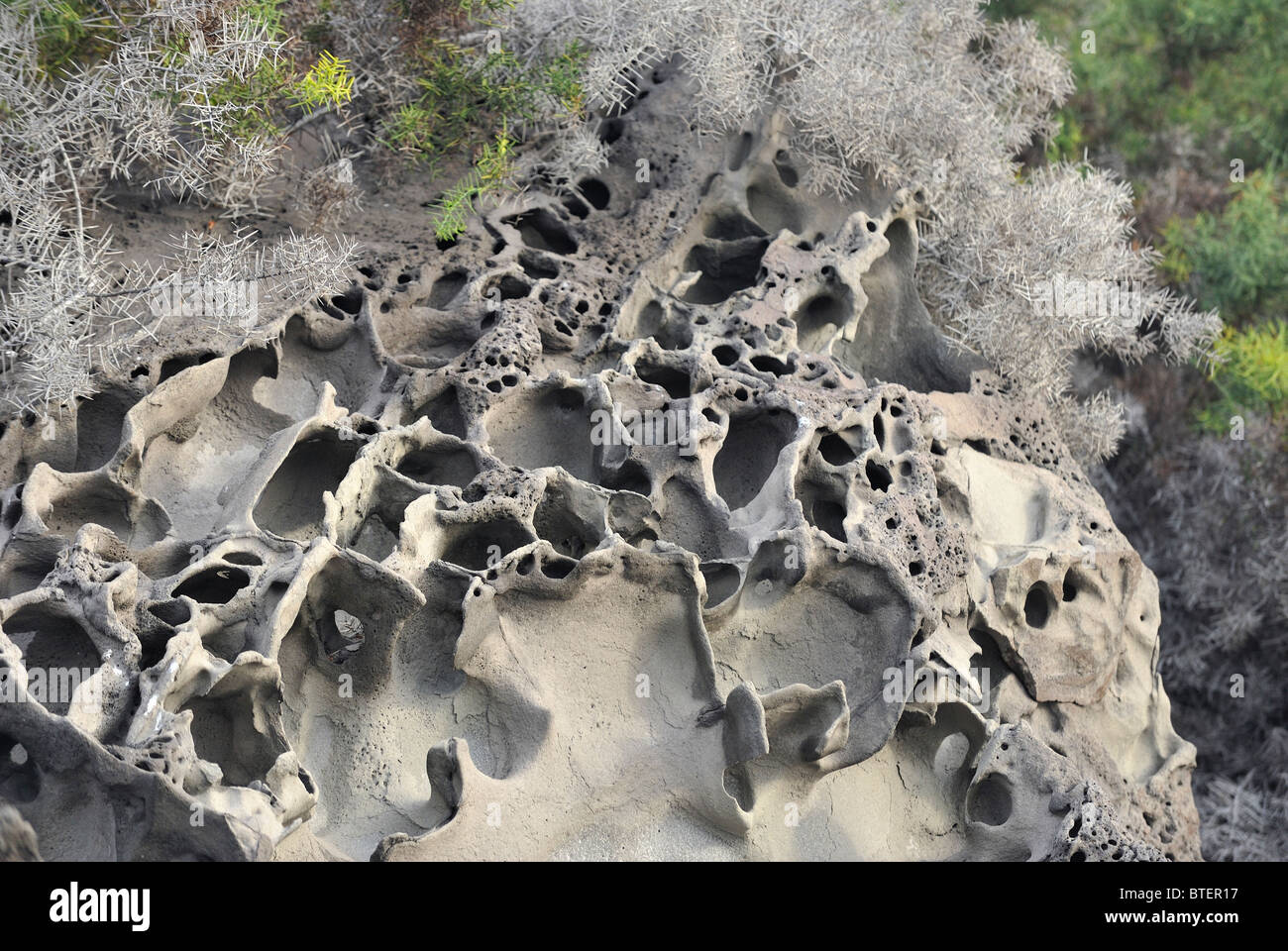 Sulivan bartholomew james hi-res stock photography and images - Alamy