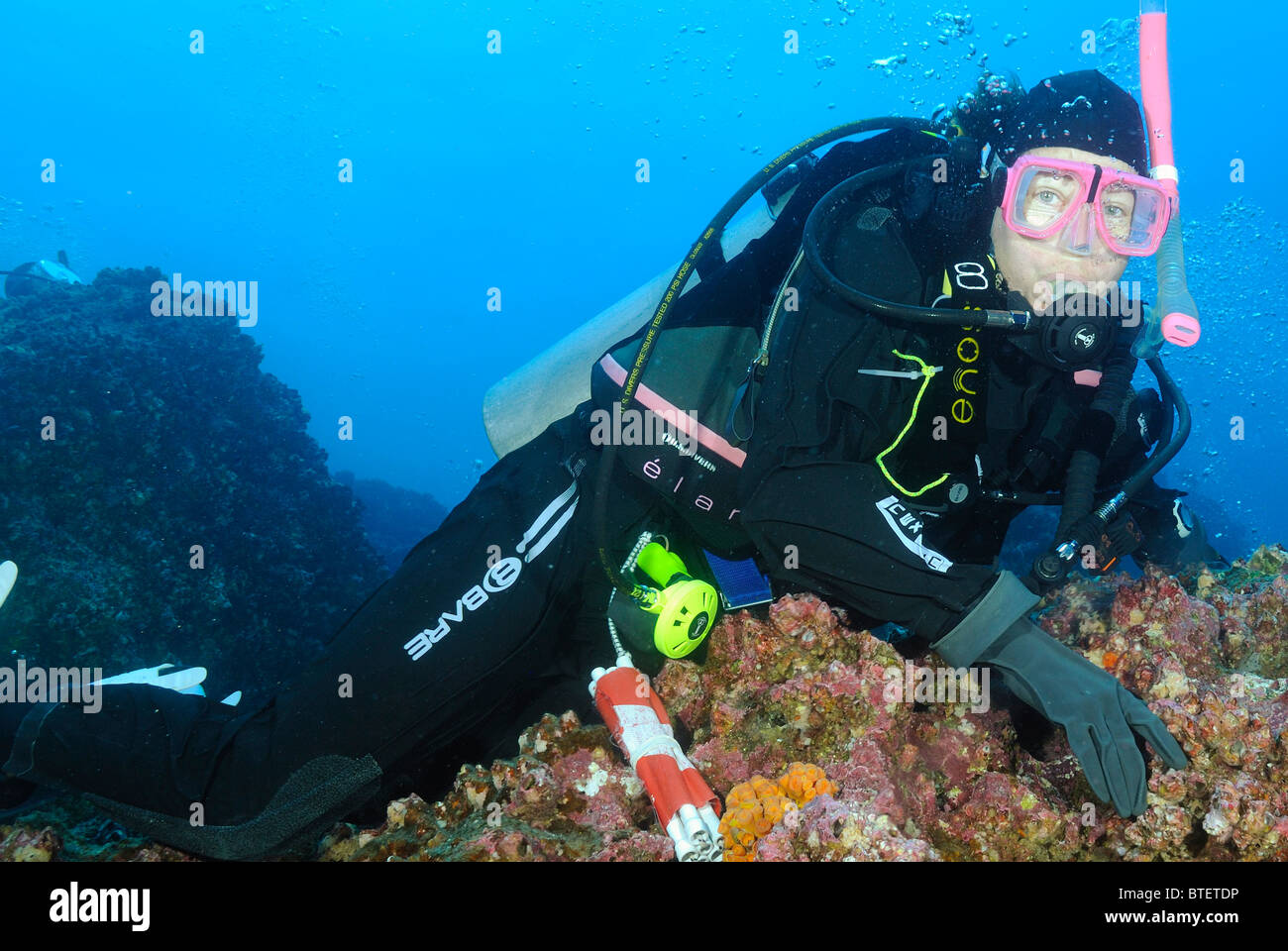 Woman scuba diver holding a rock at Darwin island, Galapagos, Ecuador ...