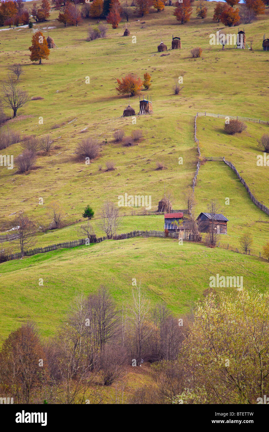 Hills trees in romania hi-res stock photography and images - Alamy