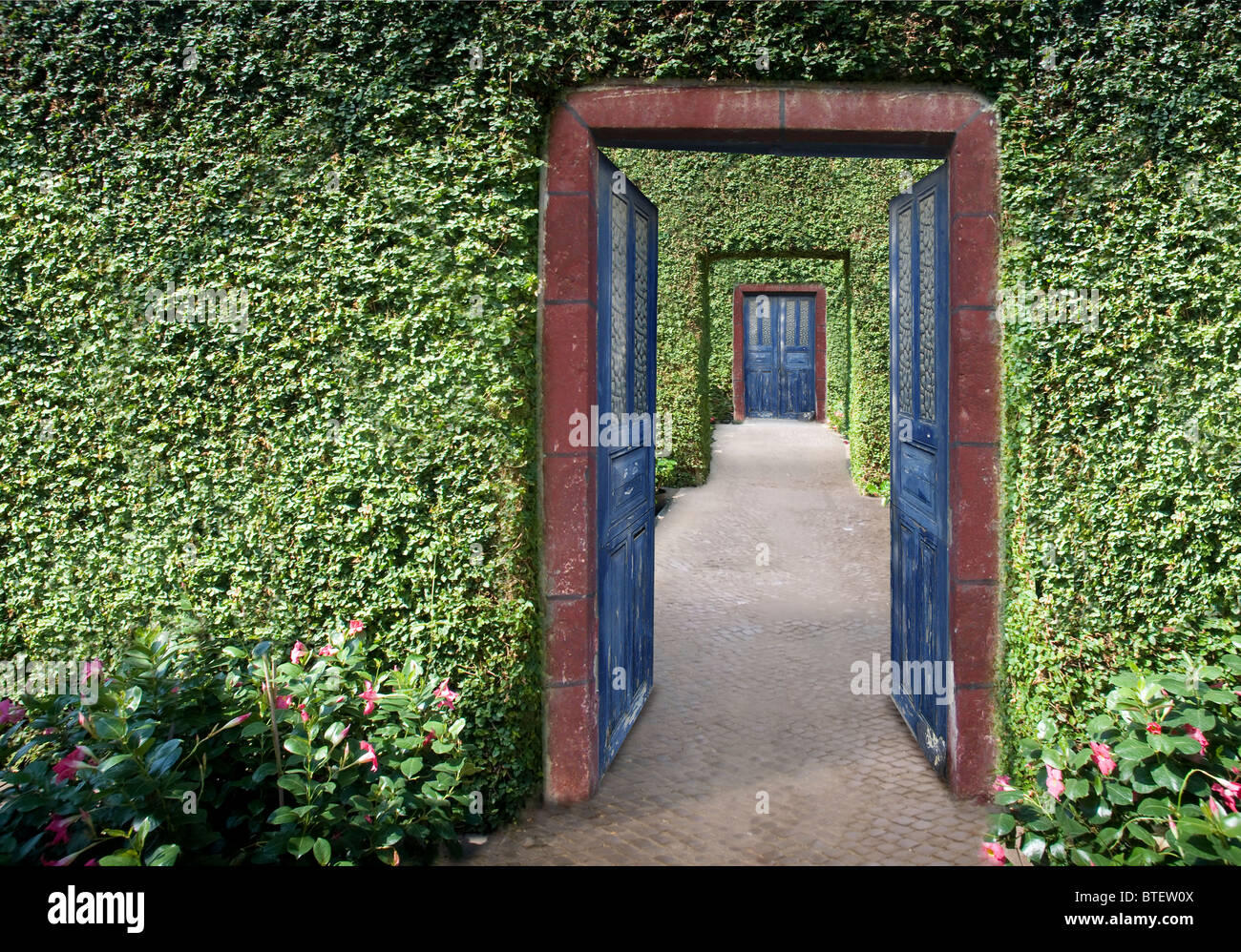 Composit image of doors through hedges Stock Photo - Alamy