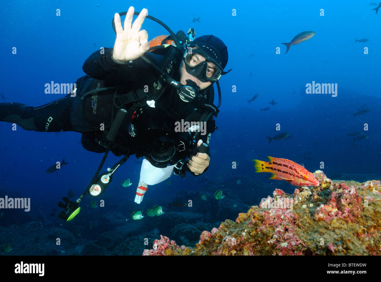 Man scuba diver holding his camera hi-res stock photography and images ...