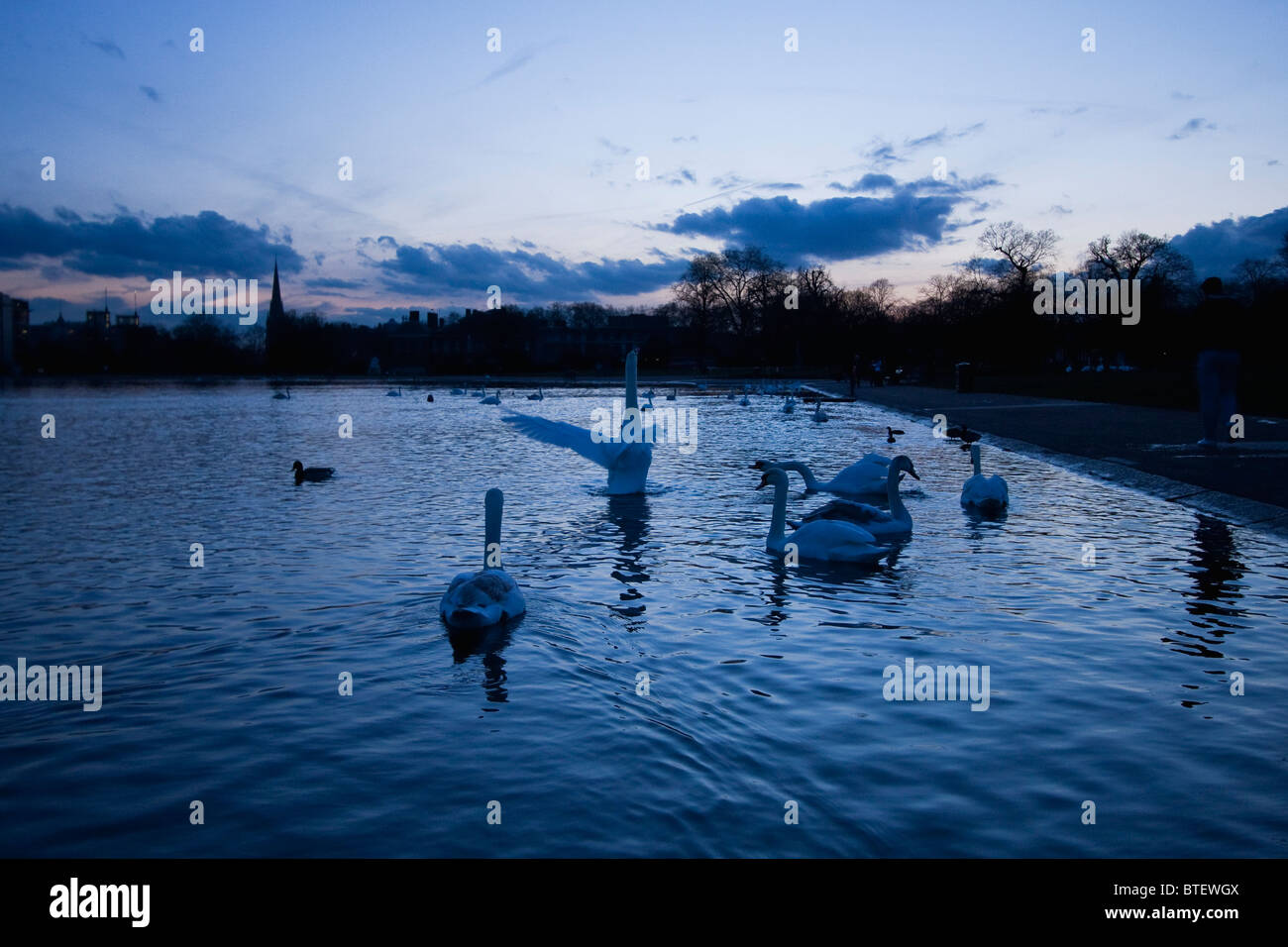 Dusk at Round Pond, Kensington Gardens in early spring, March 2010 ...
