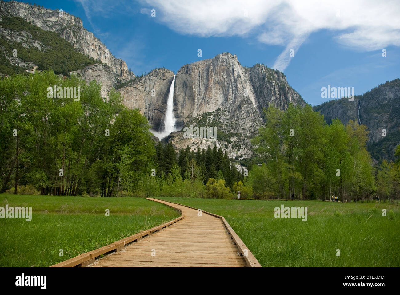 Yosemite Falls crashing to valley floor, and walkway toward river, Yosemite National Park ...
