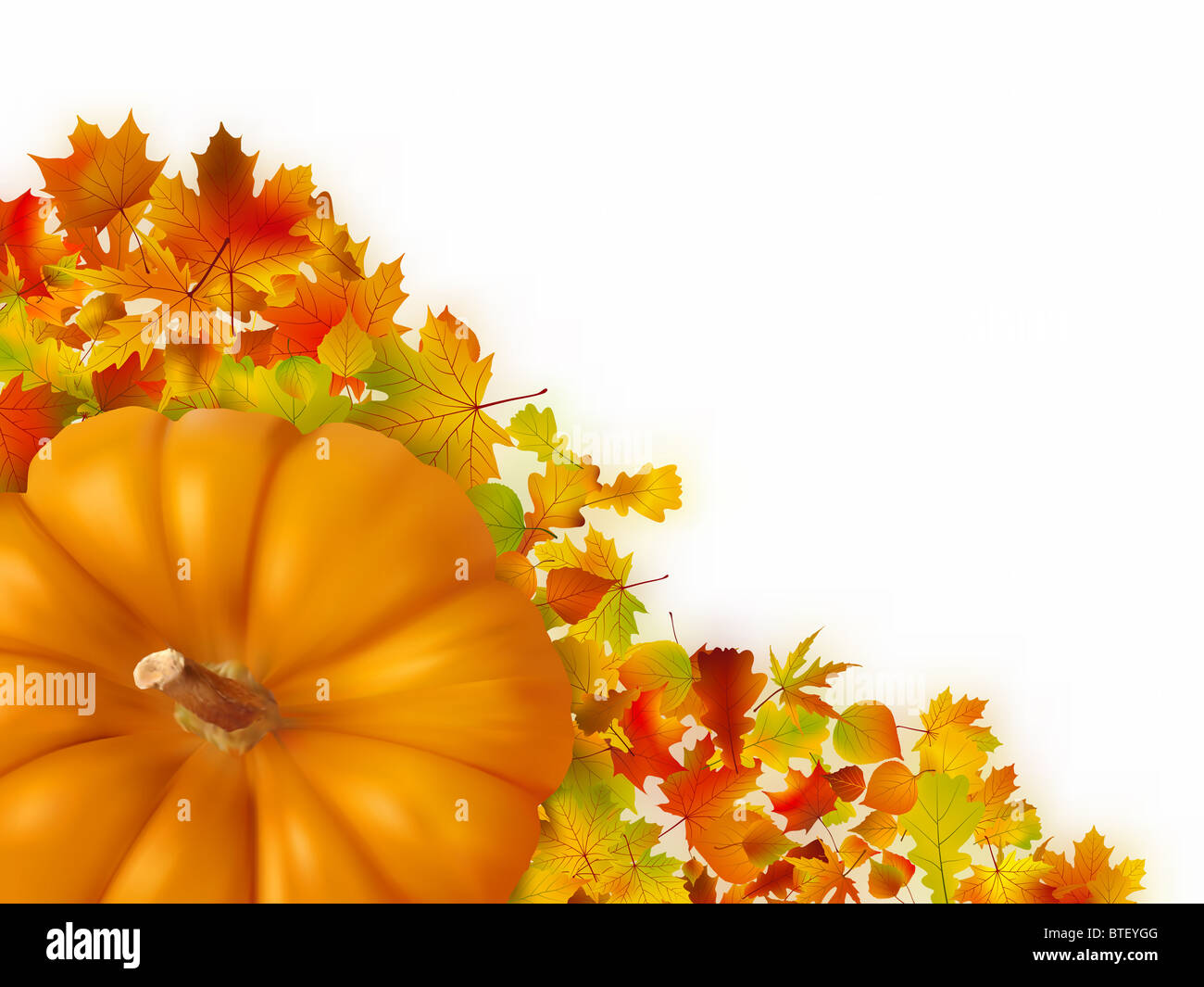 Fall leaves with pumpkin on white background, fall harvest Stock Photo ...
