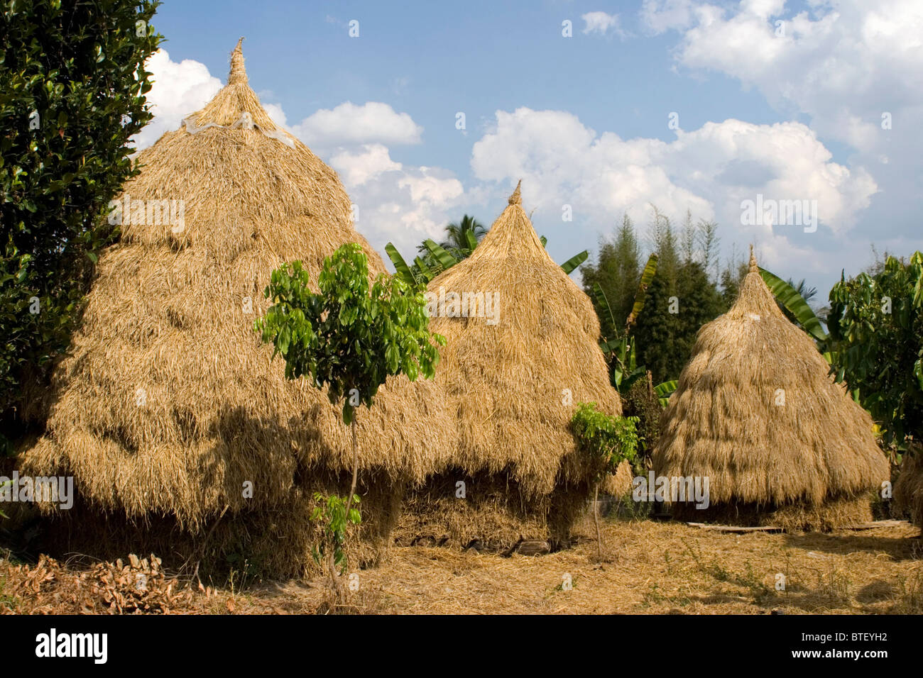 Large haystacks are stacked on a rural farm near Pai, Northern Thailand ...
