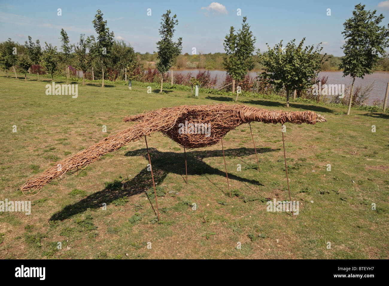 Special forces grove hi-res stock photography and images - Alamy