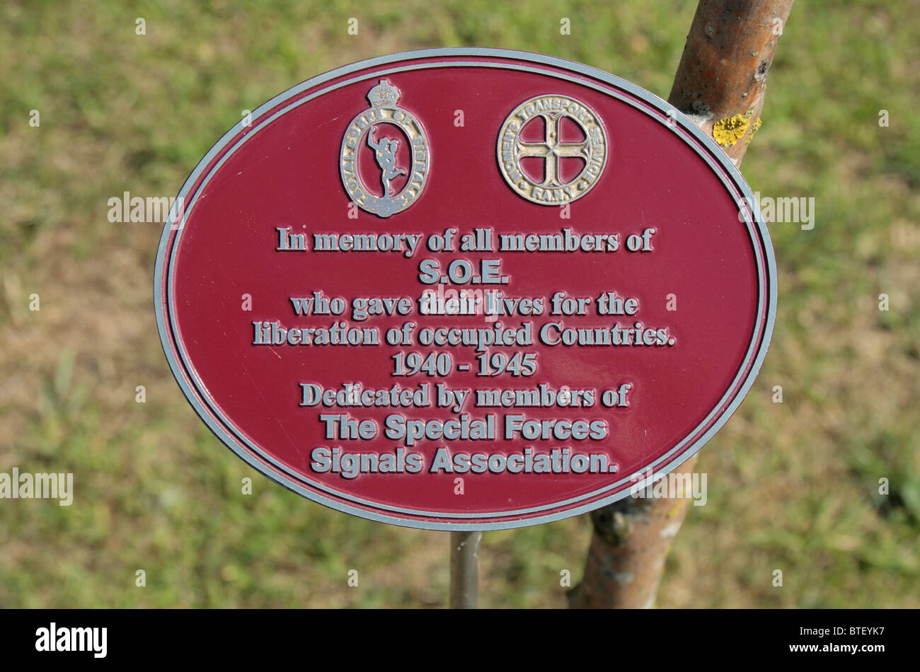 Close up of plaque beside a tree dedicated to members of the SOE ...