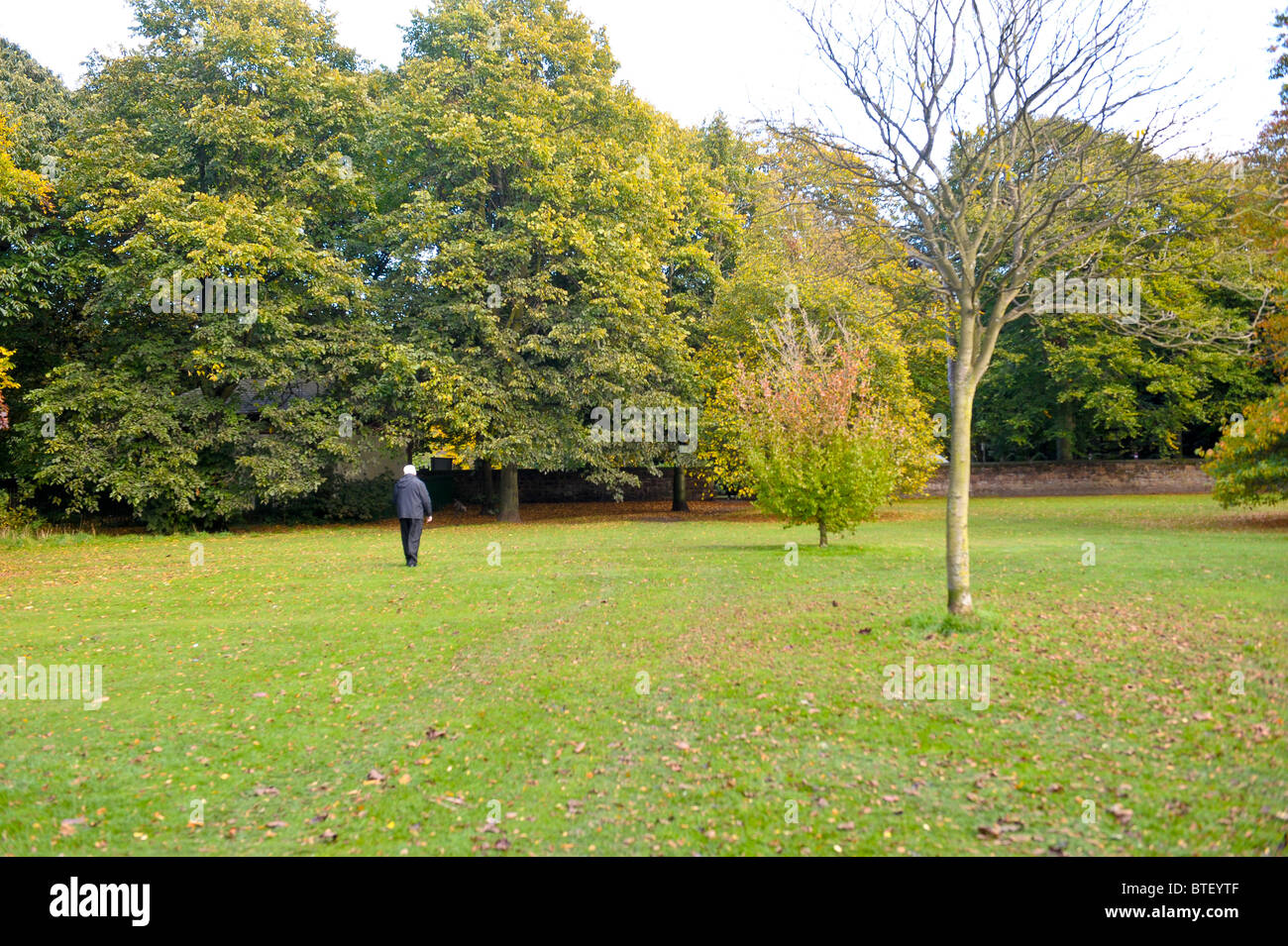 Autumn in Calderstones Park Liverpool Stock Photo - Alamy