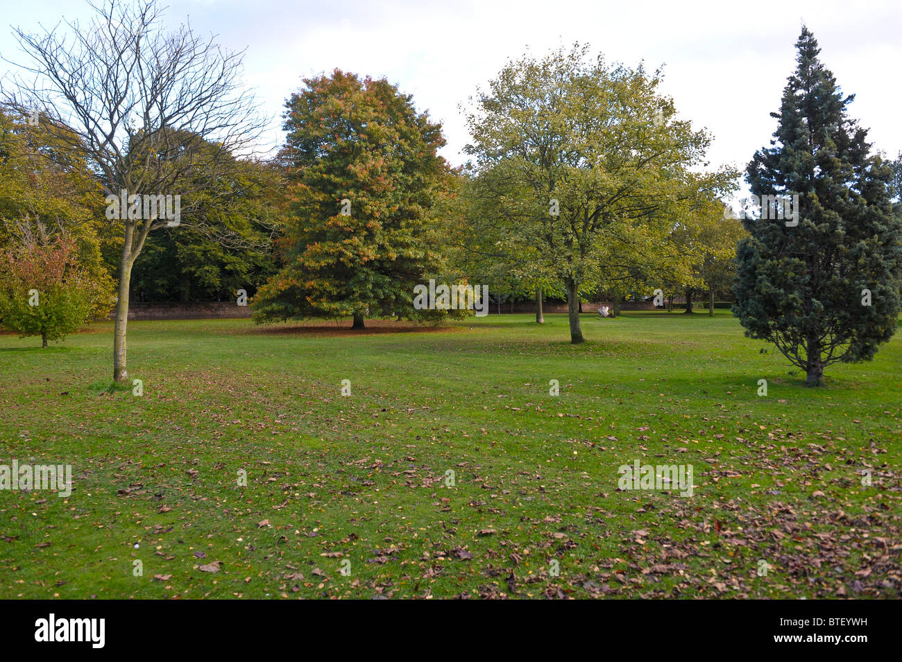 Autumn in Calderstones Park Liverpool Stock Photo - Alamy