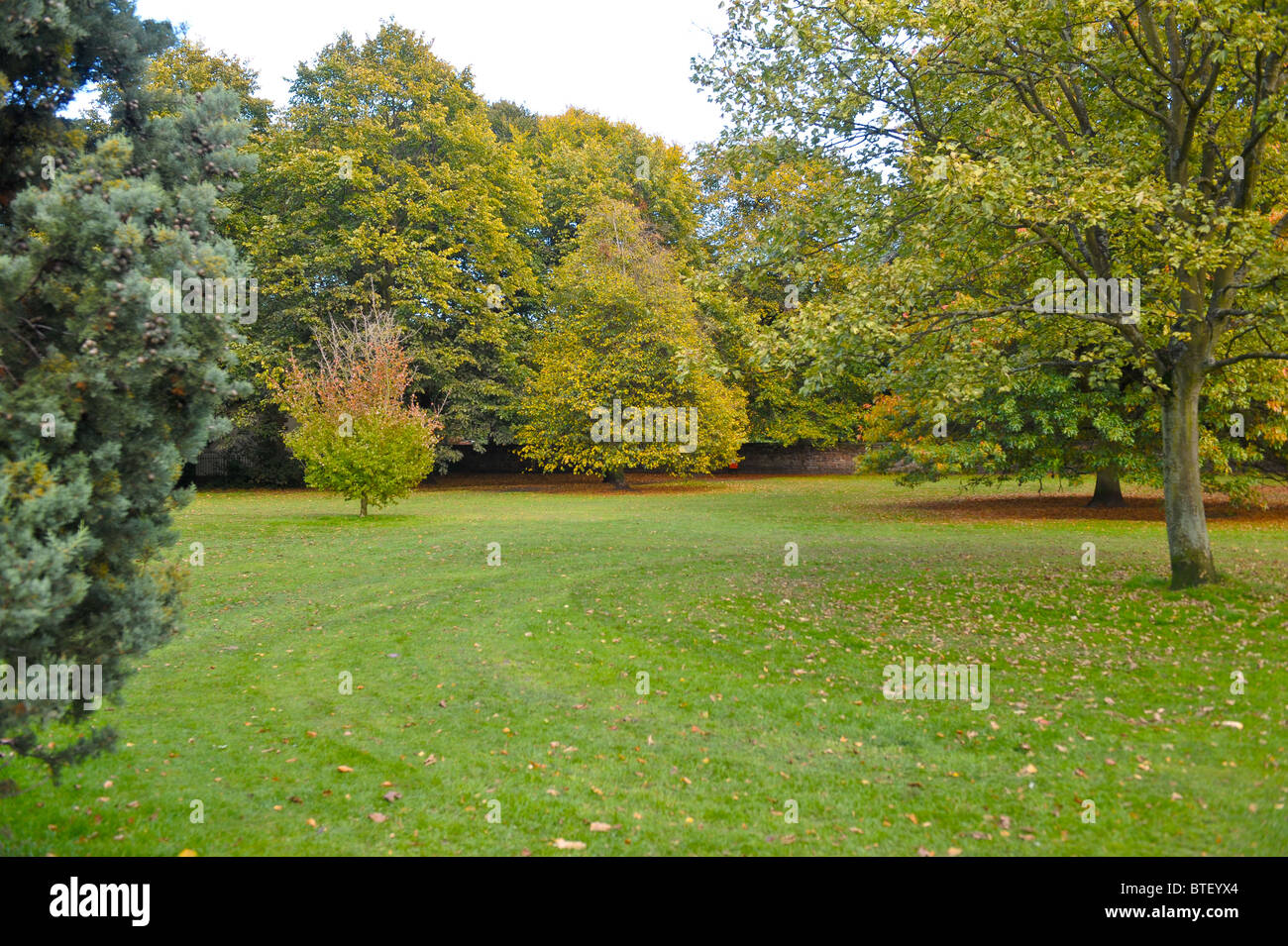 Autumn in Calderstones Park Liverpool Stock Photo - Alamy