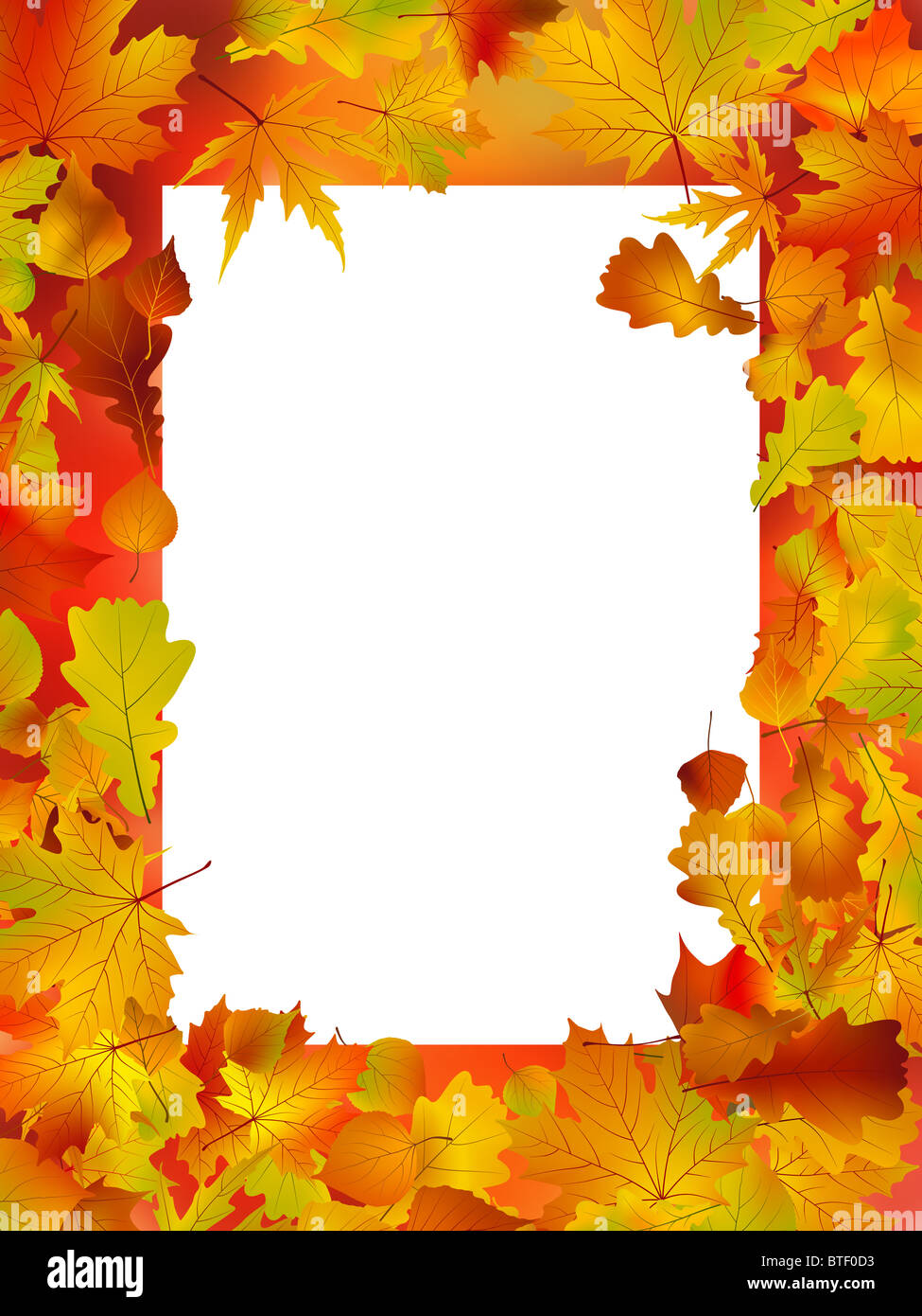 Image and Illustration composition for Thanksgiving invitation border ...