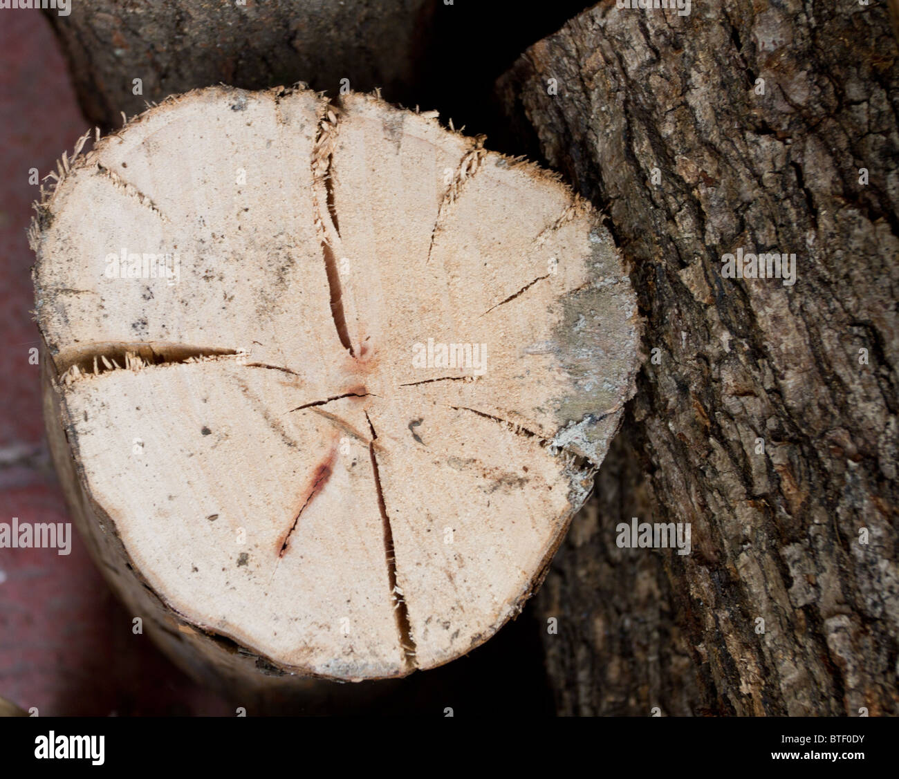Stacked timber logs Stock Photo - Alamy