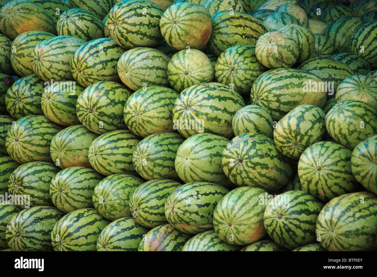 Pile of watermelons in a market in Goa India Stock Photo - Alamy