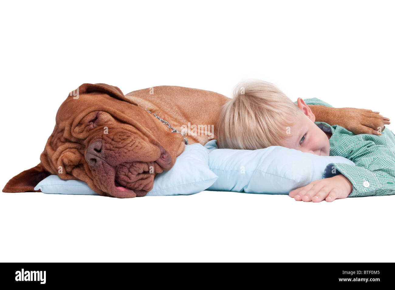 Impish smile hi-res stock photography and images - Alamy