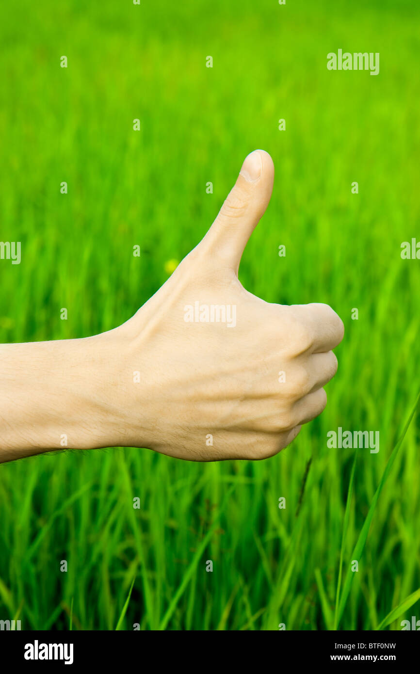 Man's hand clenched in a fist with the thumb lifted upwards Stock Photo ...