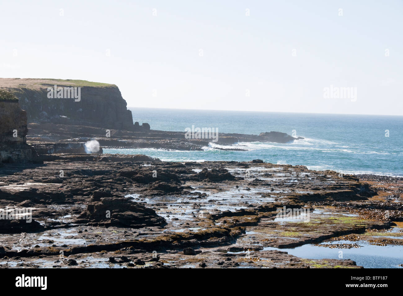 Curio bays hi-res stock photography and images - Alamy