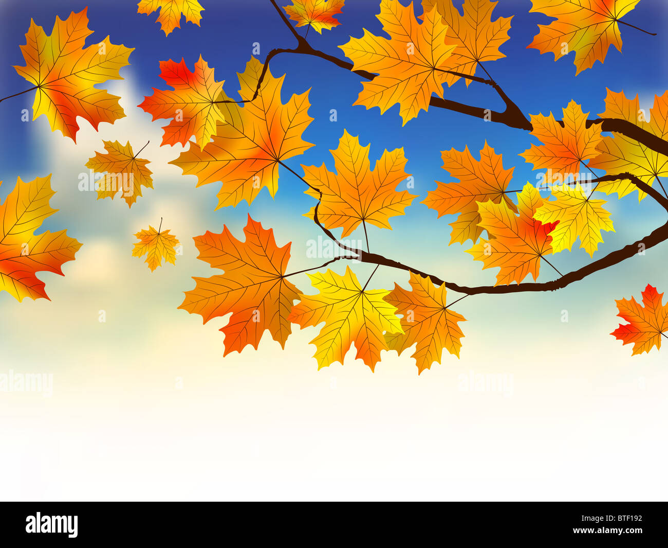 Fall leaves in front of blue sky with clouds Stock Photo - Alamy