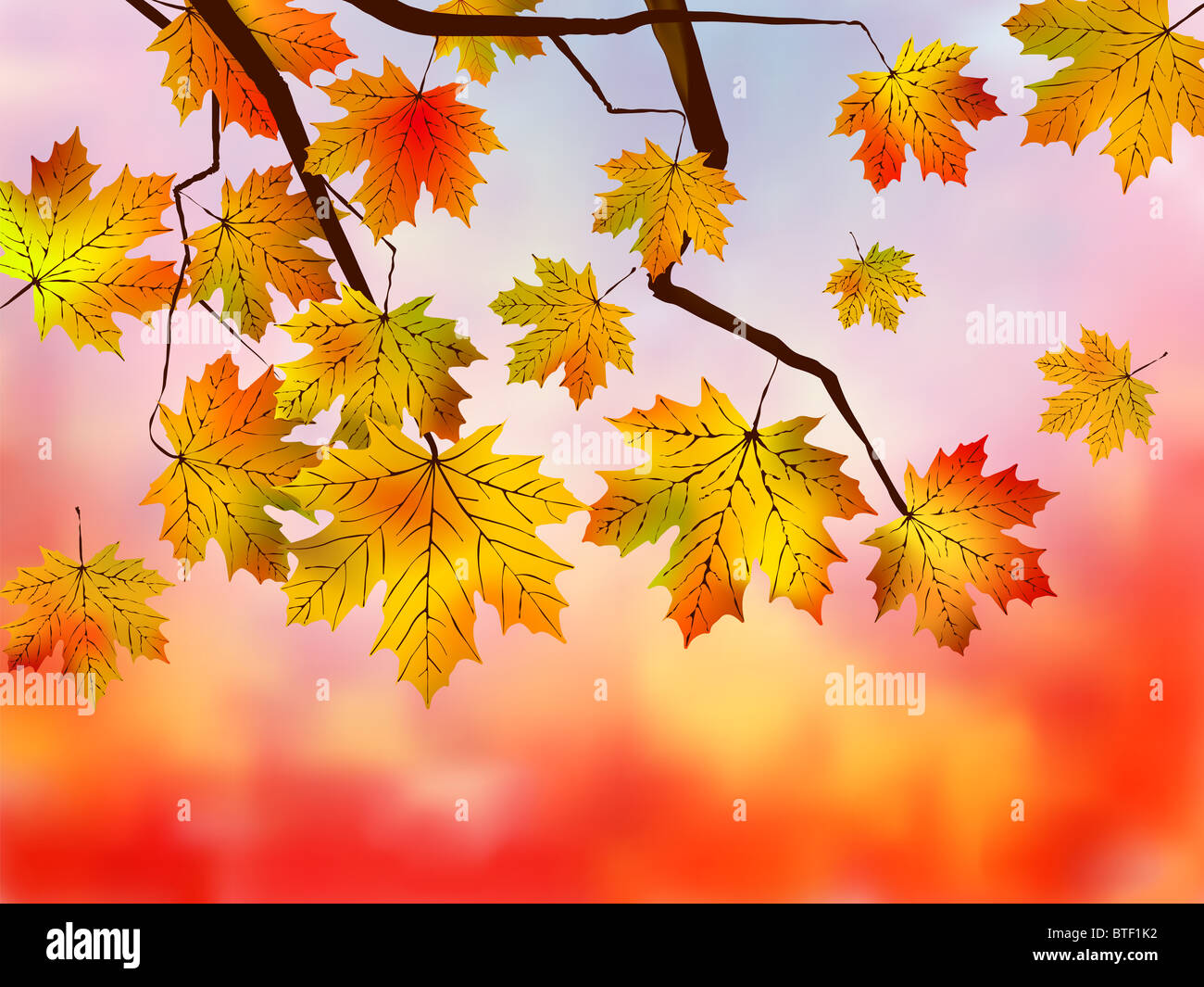 Fall red maple forest background Stock Photo - Alamy