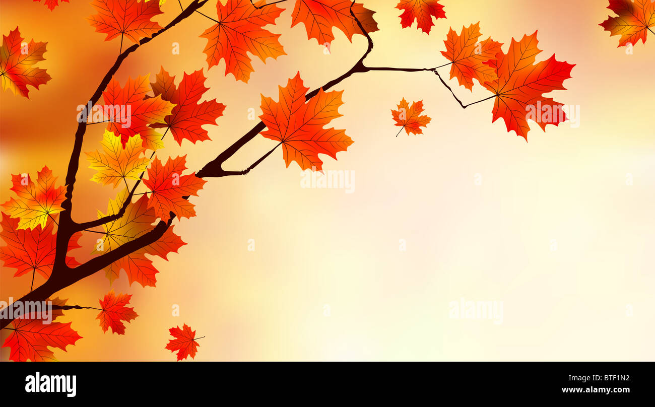 Abstract colorful autumn background Stock Photo - Alamy
