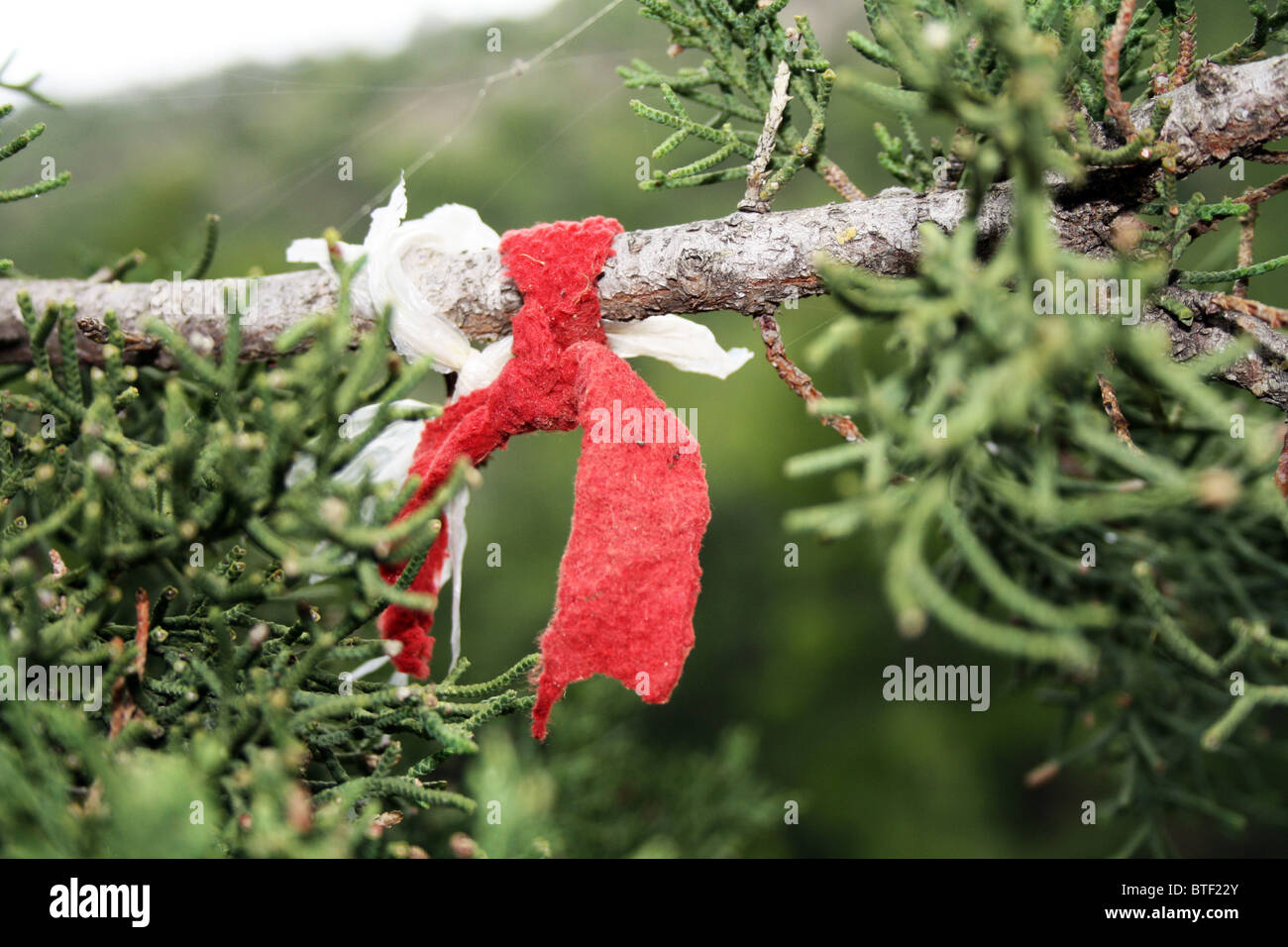 Tree fabric hi-res stock photography and images - Alamy