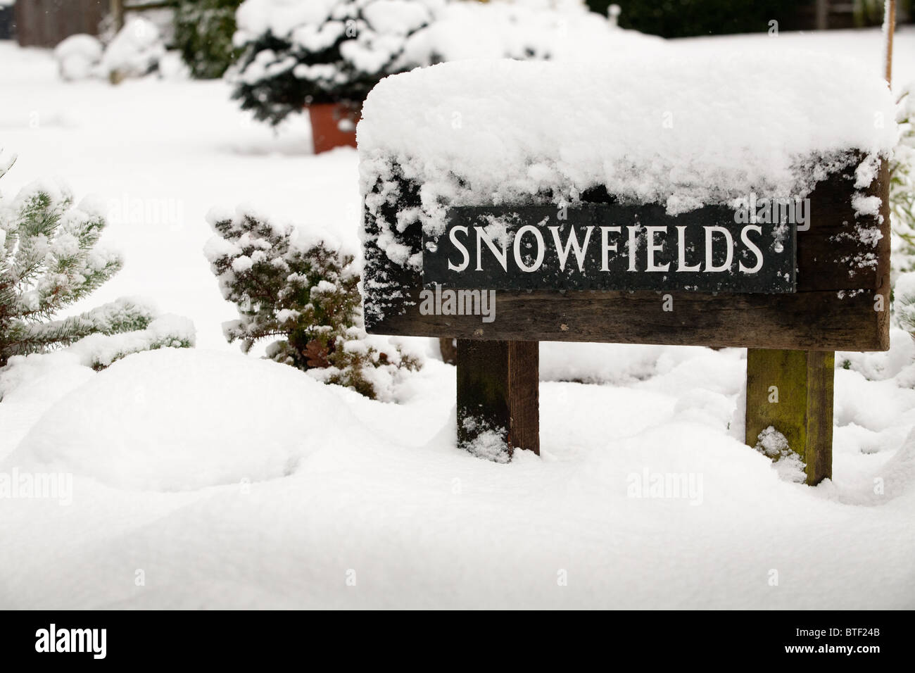 Snowfields hi-res stock photography and images - Alamy