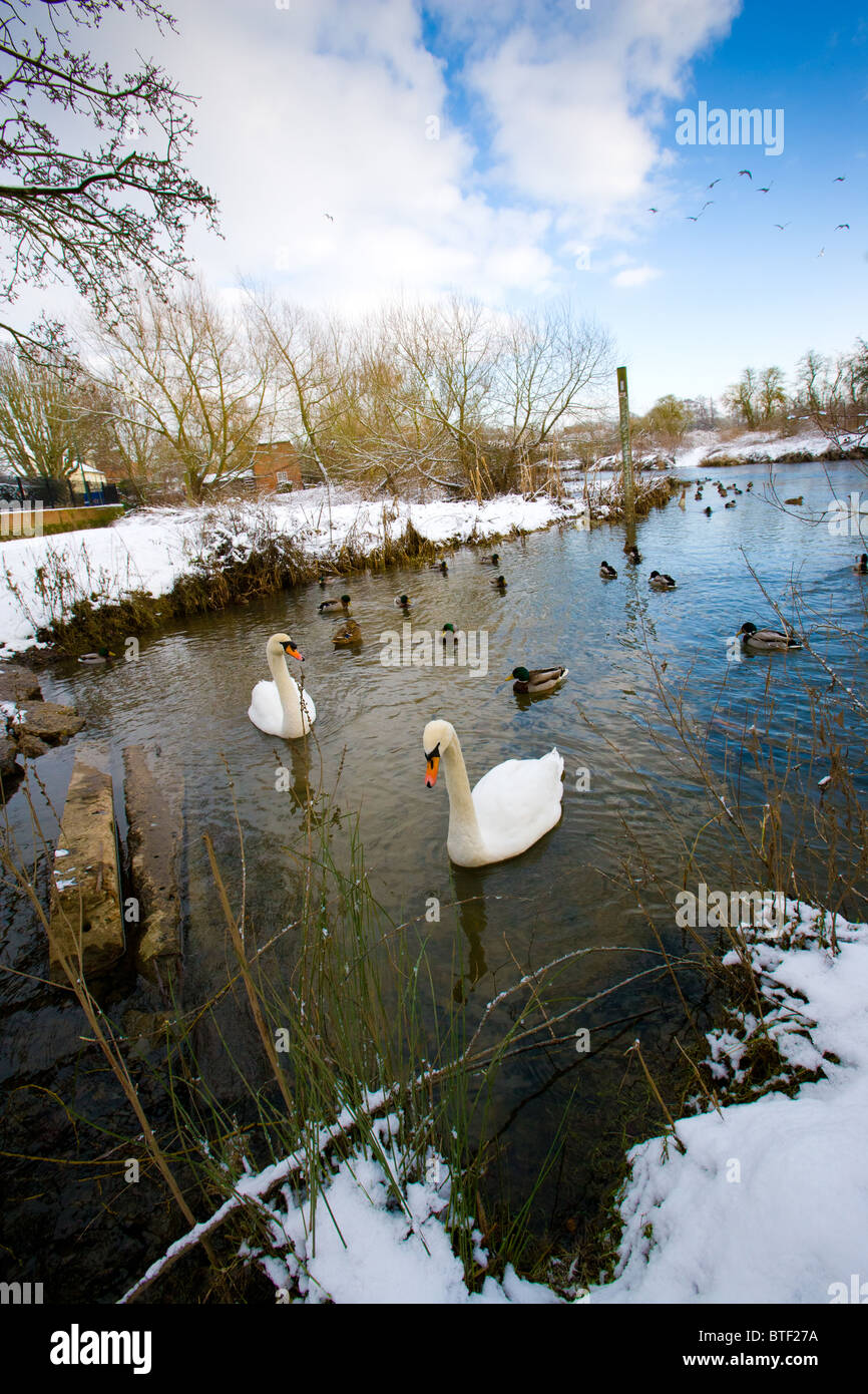 Cobham river hi-res stock photography and images - Alamy