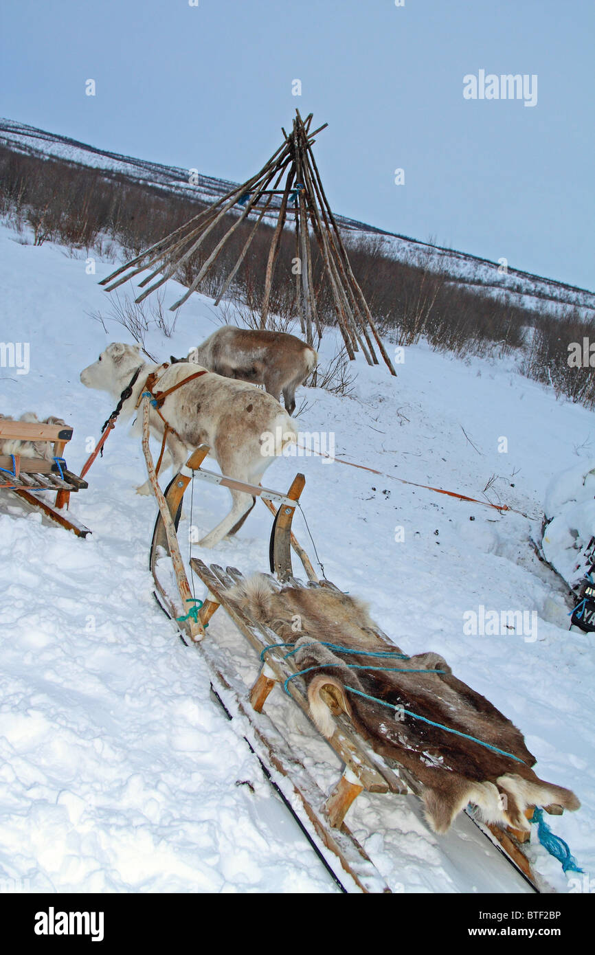 Reindeer frame hi-res stock photography and images - Alamy