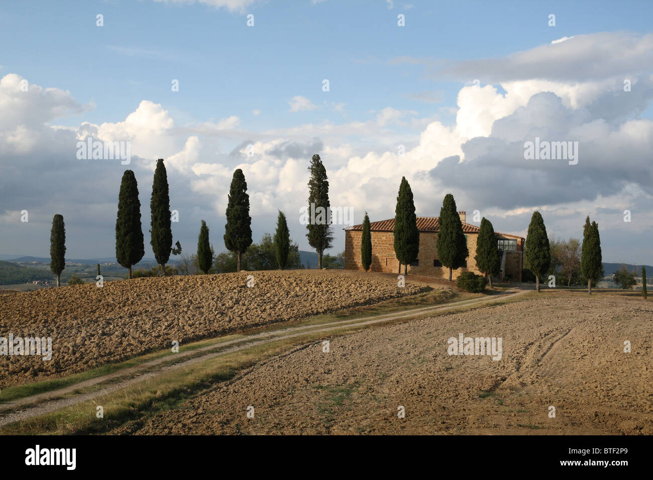 Typical Tuscany scene near Pienza Stock Photo - Alamy