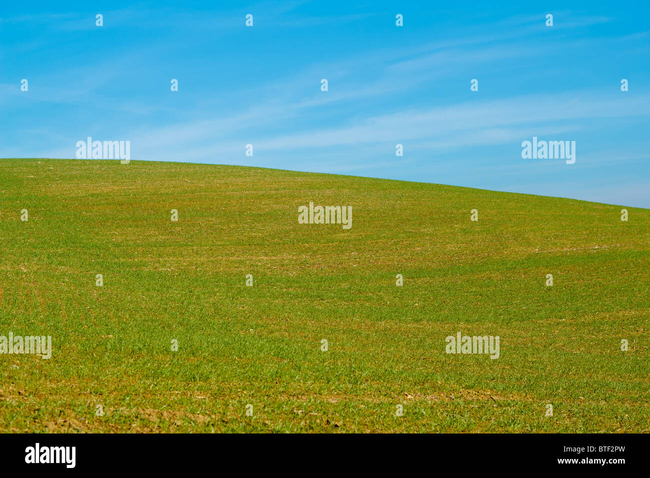 Nice autumn field with clear horizont and blue sky Stock Photo - Alamy