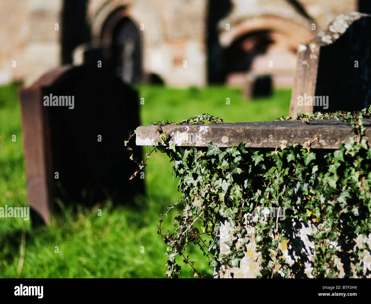gravestones lit by the sun in a country cemetery Stock Photo - Alamy