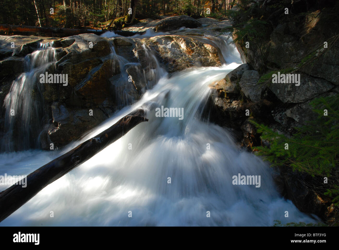 Fallen tree in a waterfall Stock Photo - Alamy