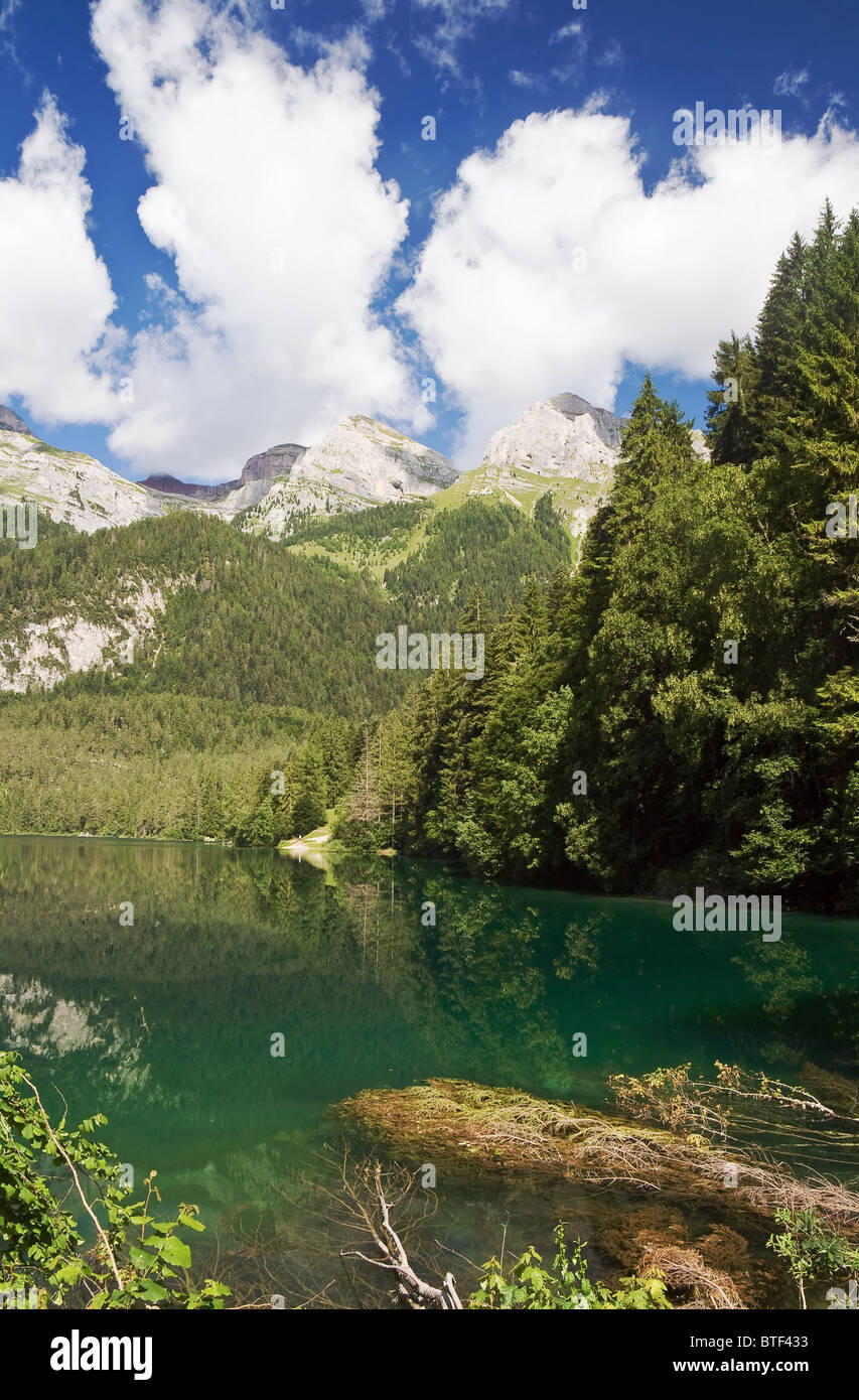 Tovel lake, Trentino, Italy Stock Photo - Alamy