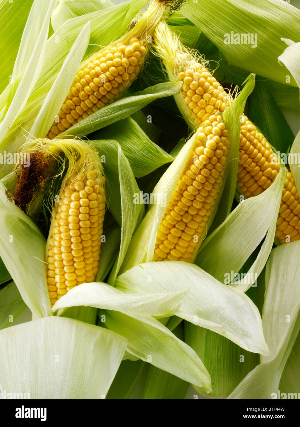 Sweetcorn hi-res stock photography and images - Alamy