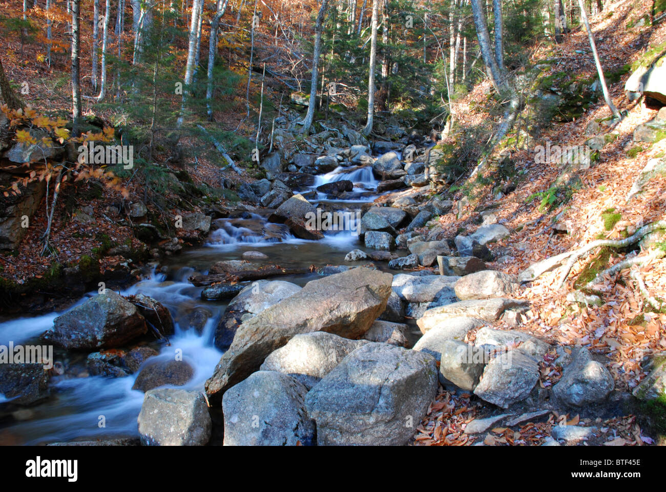 Stream through rocks and boulders Stock Photo - Alamy