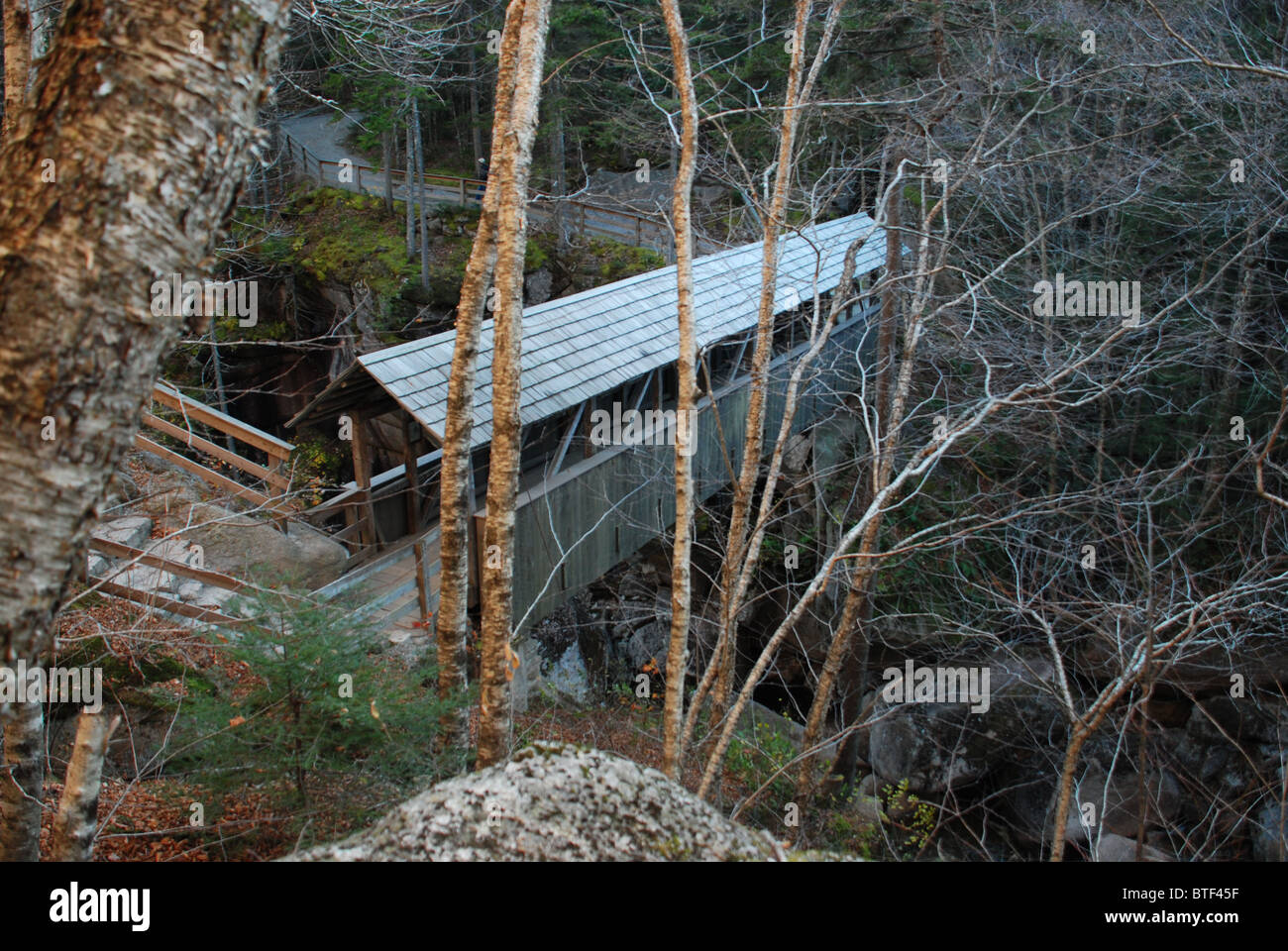 Sentinel pine bridge hi-res stock photography and images - Alamy