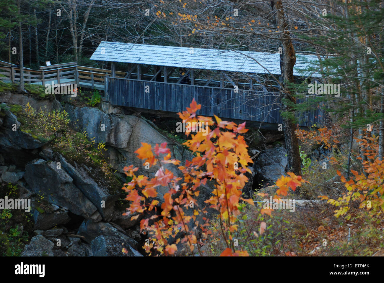 Sentinel Pine Bridge Stock Photo - Alamy