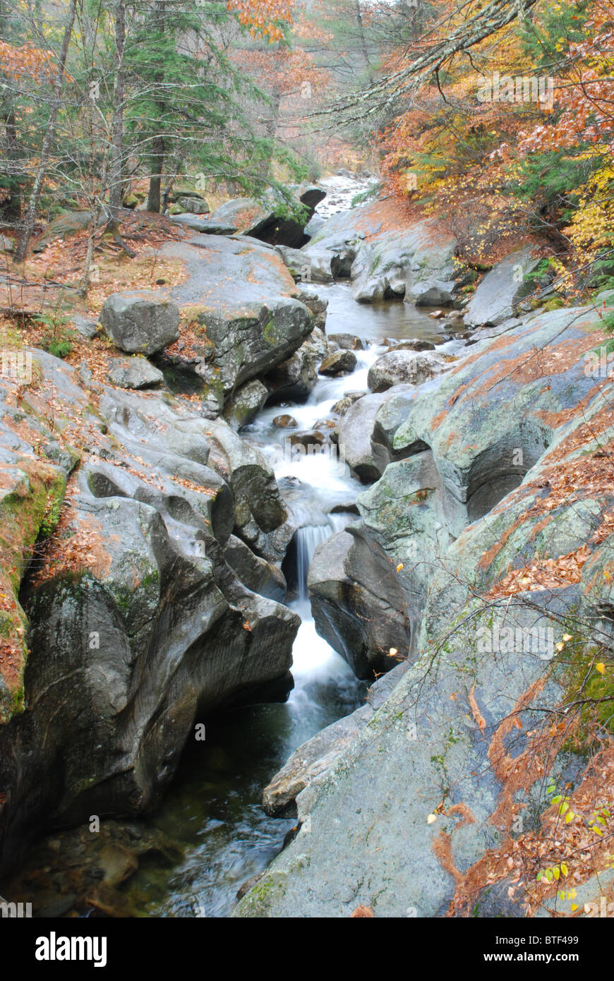 Sculptured Rocks Groton , Grafton County, NH , USA Stock Photo - Alamy