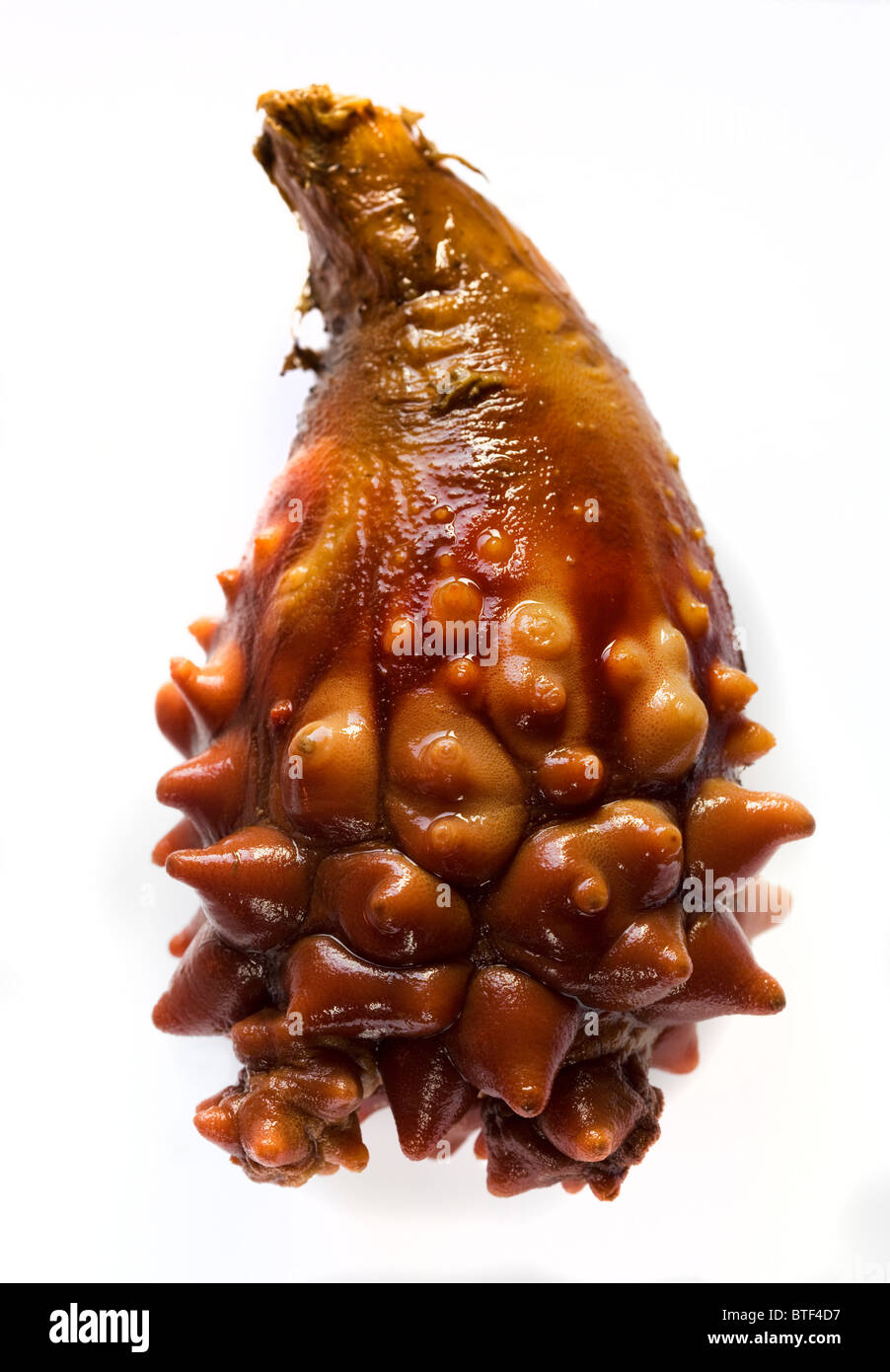Edible sea squirt hi-res stock photography and images - Alamy