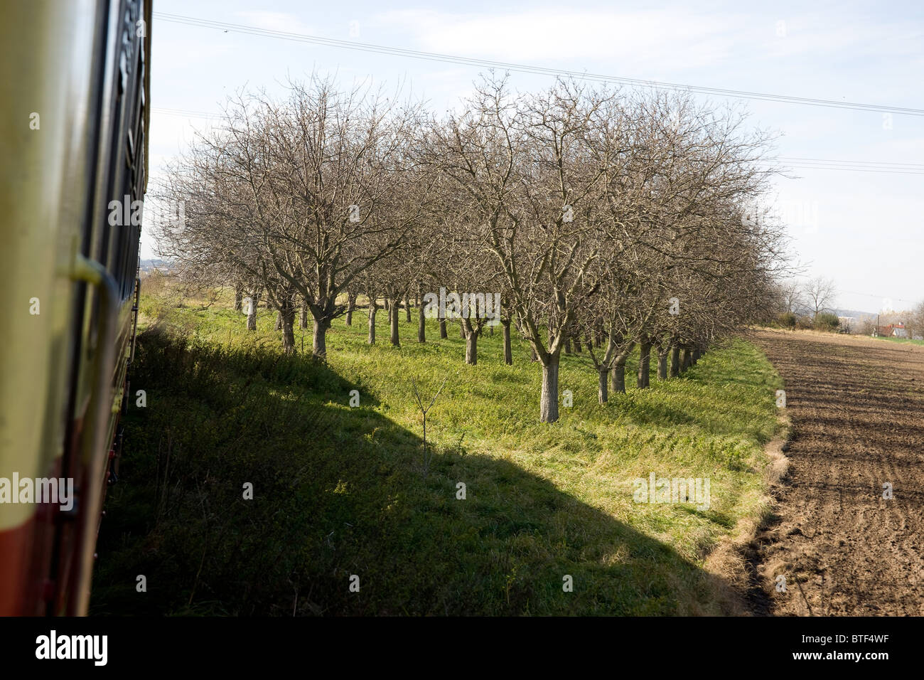 Train side red Stock Photo - Alamy