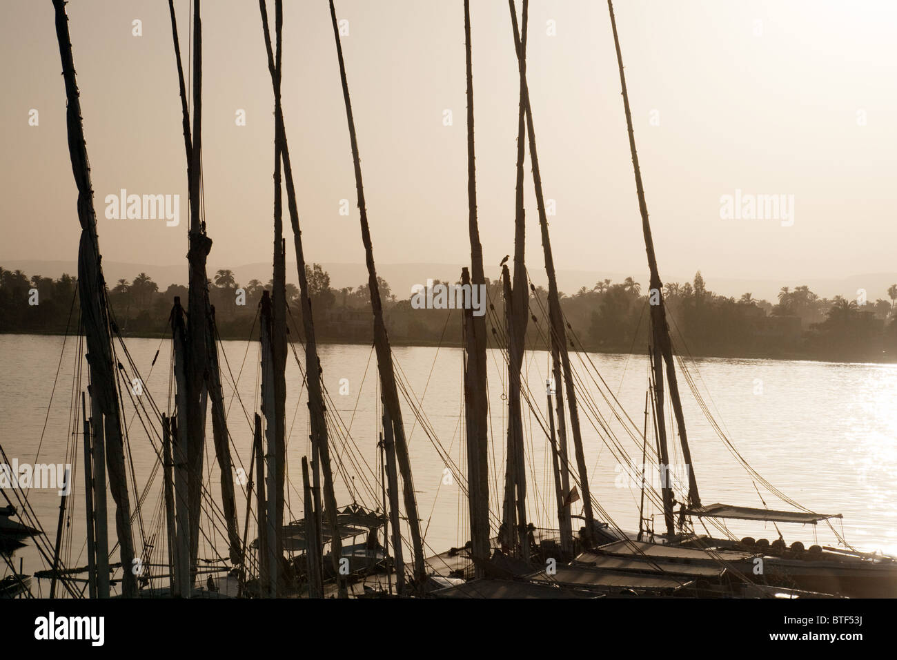 Nile sunset; Feluccas moored on the river Nile at sunset, Luxor, Egypt ...