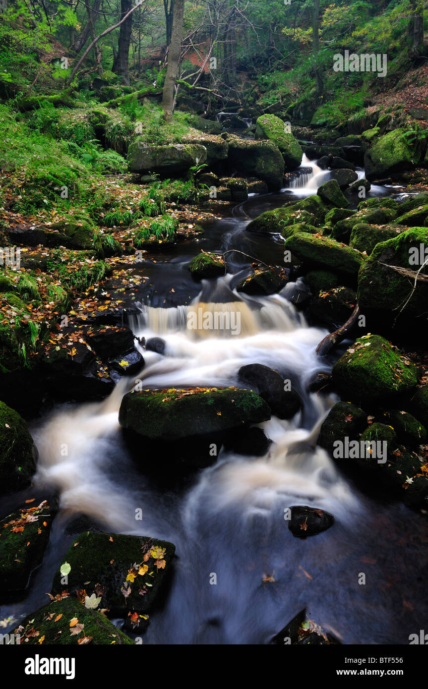 Waterfall on a stream running through the woods Stock Photo - Alamy