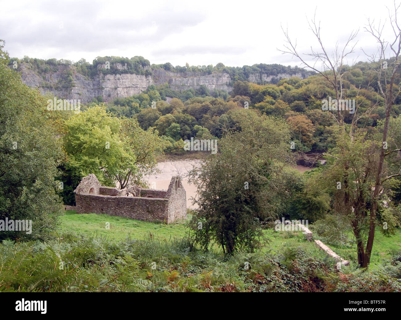Lancaut nature reserve hi-res stock photography and images - Alamy