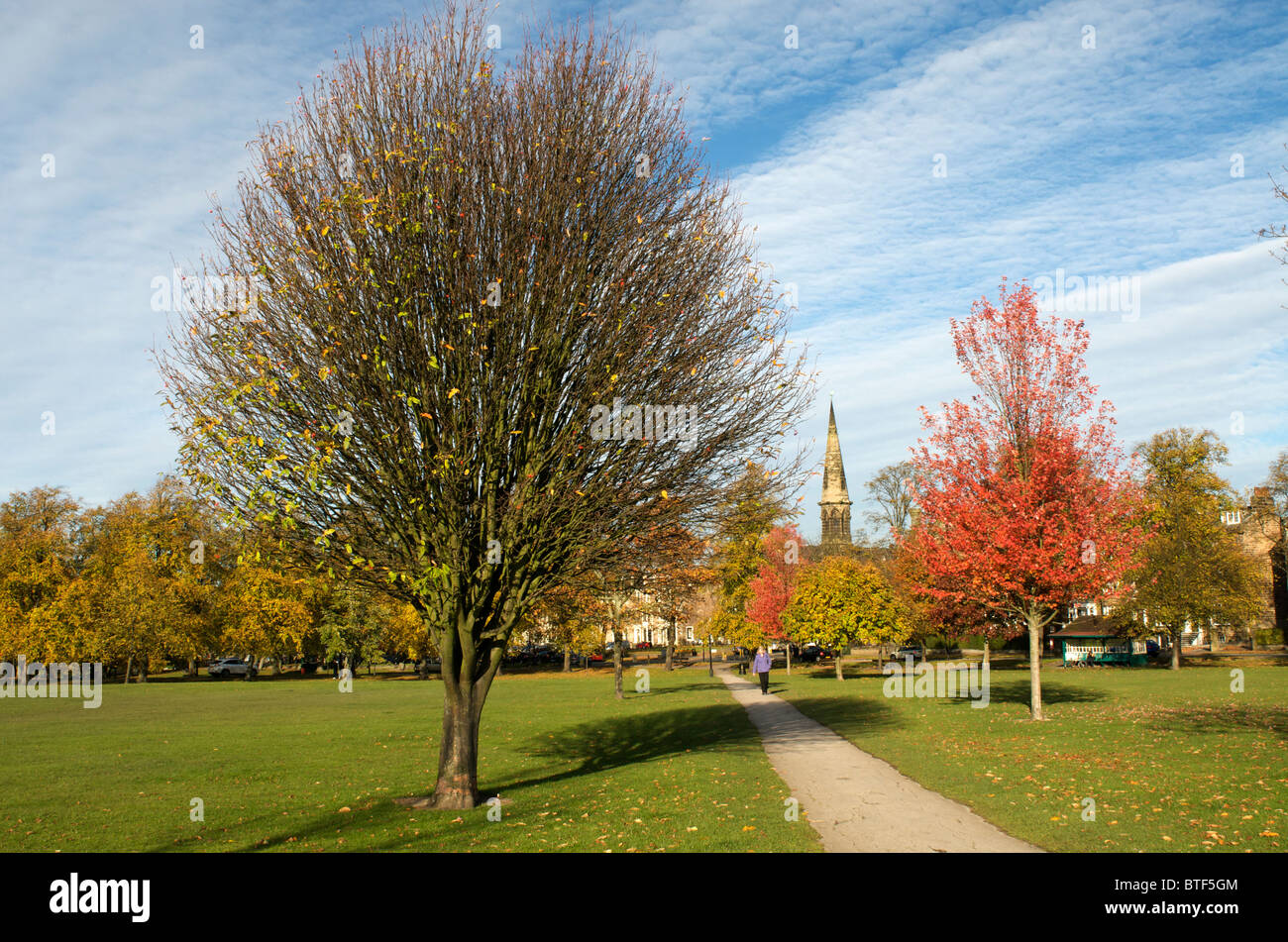 Trees in Autumn on West Park Stray, Harrogate Stock Photo - Alamy