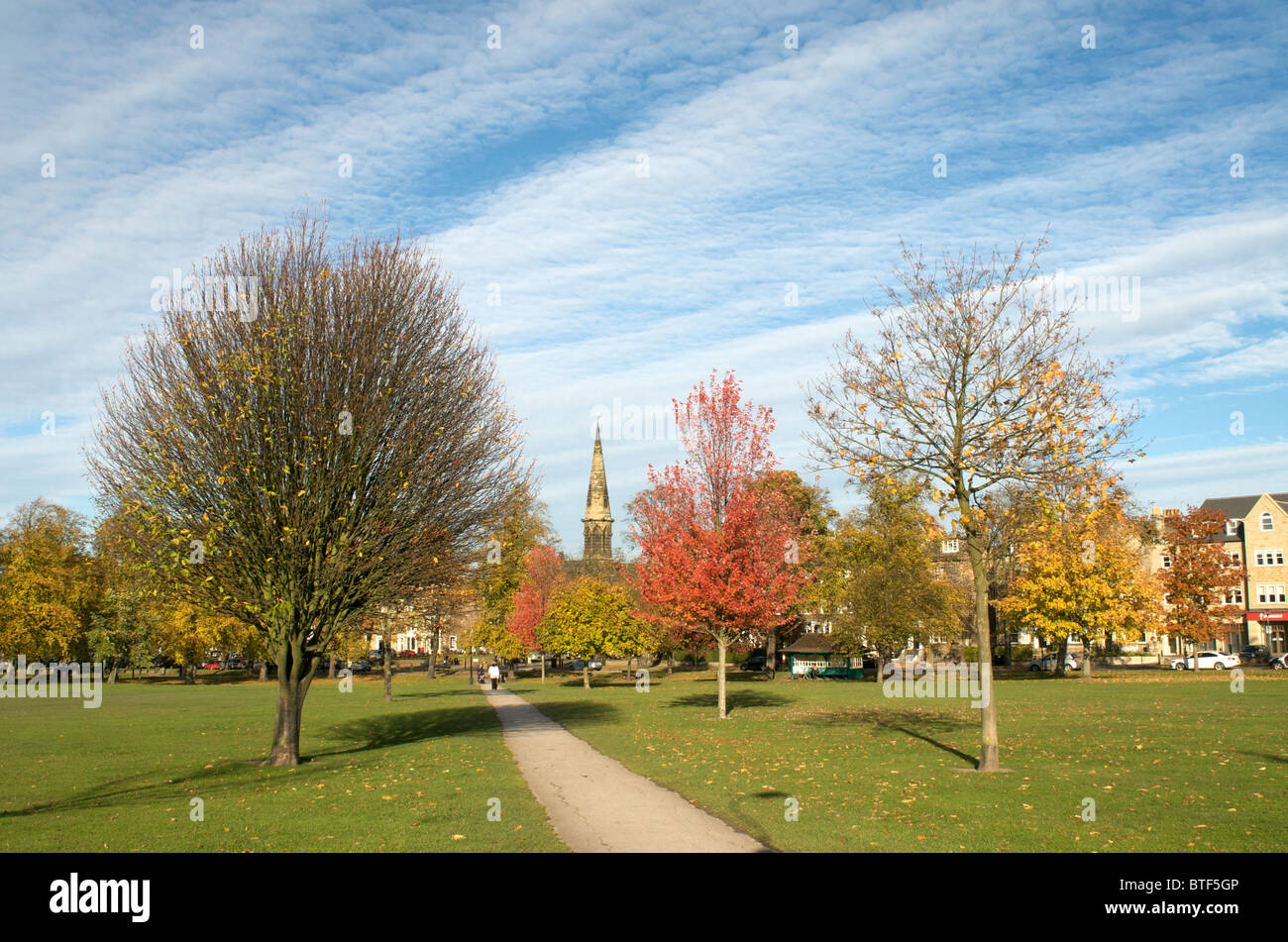 Trees in Autumn on West Park Stray, Harrogate Stock Photo - Alamy