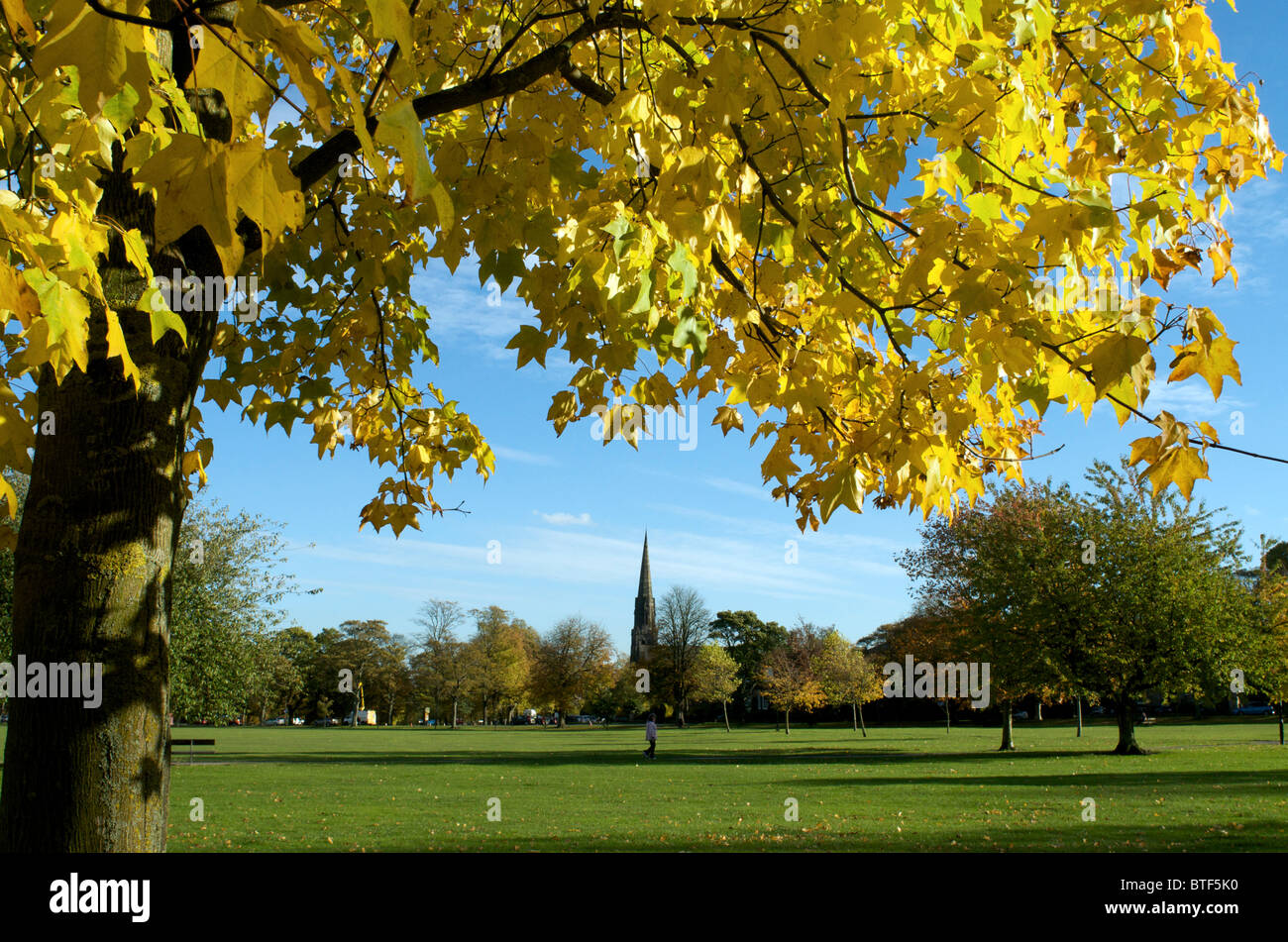 Trees in Autumn on West Park Stray, Harrogate Stock Photo - Alamy