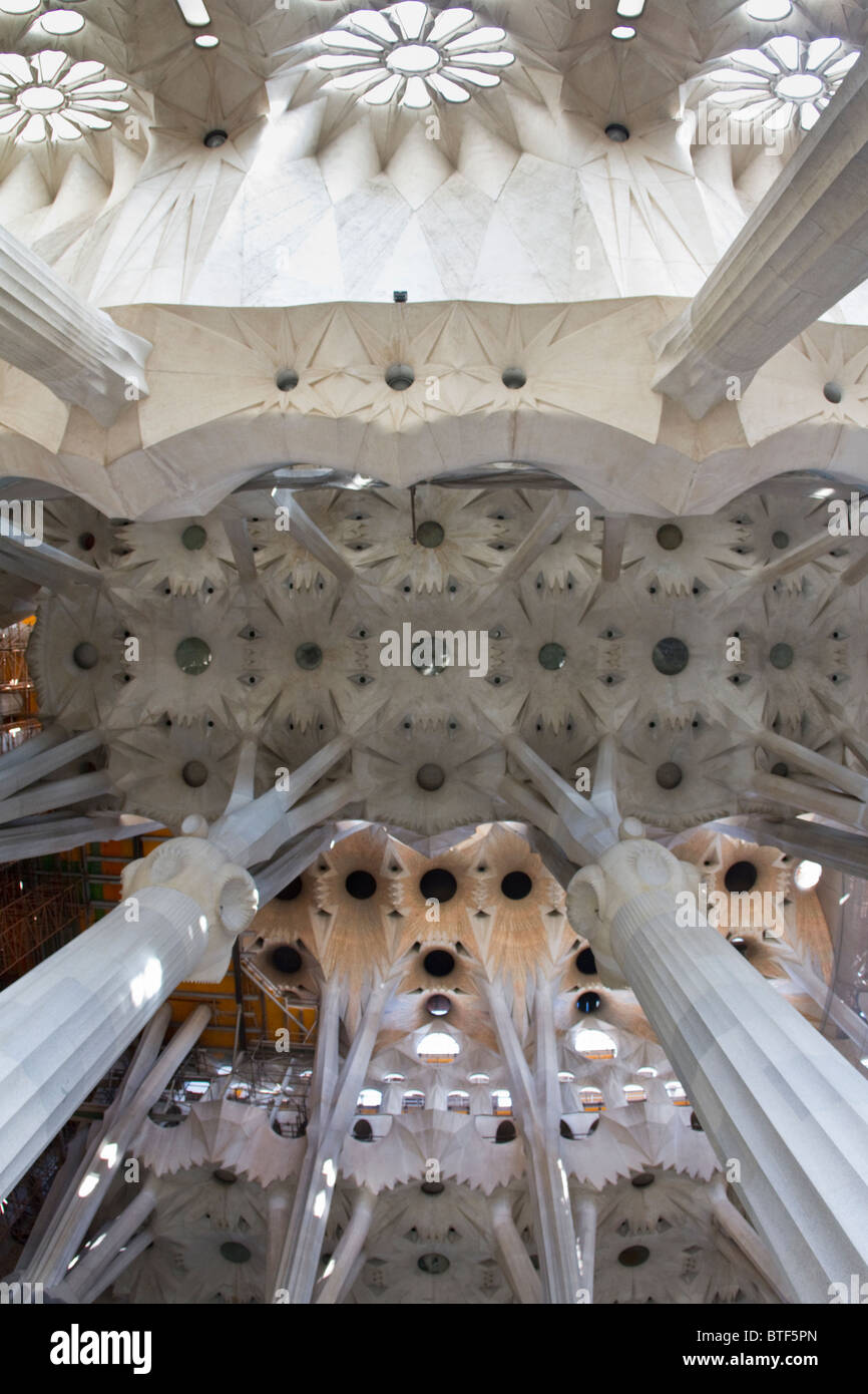 Ceilings at the Sagrada Familia Cathedral by Gaudi Stock Photo - Alamy