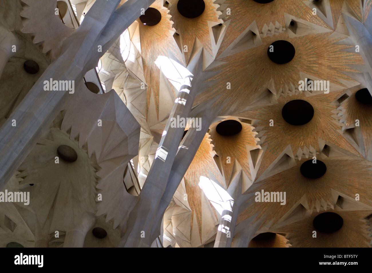 Detials of star-like ceiling decoration at the Sagrada Familia ...