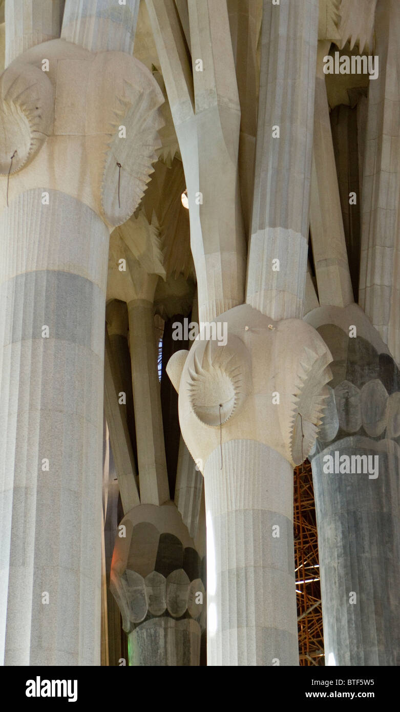 Details of columns at the Sagrada Familia Cathedral by Gaudi Stock ...